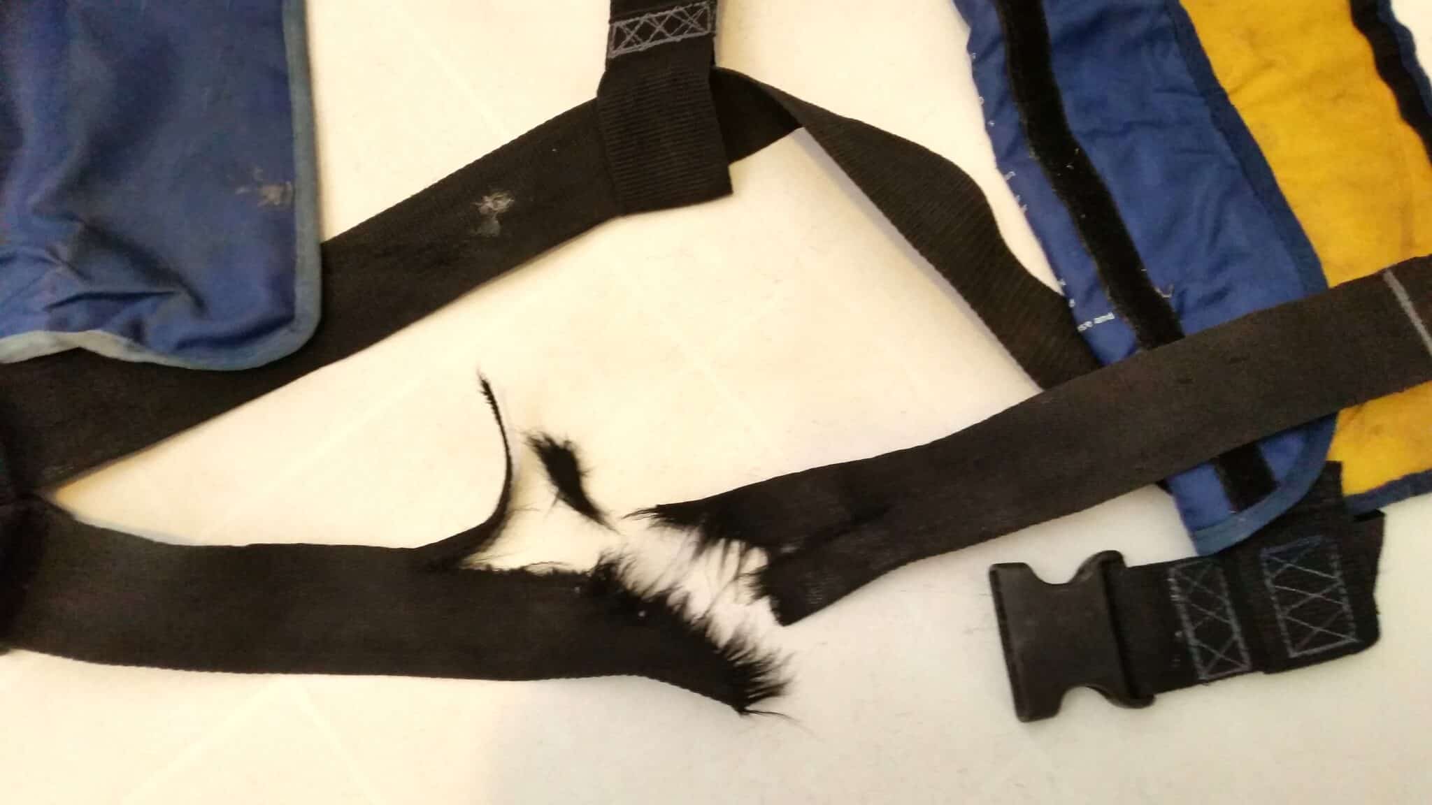 Life Jacket Inspection Checklist - Life Jacket Safety